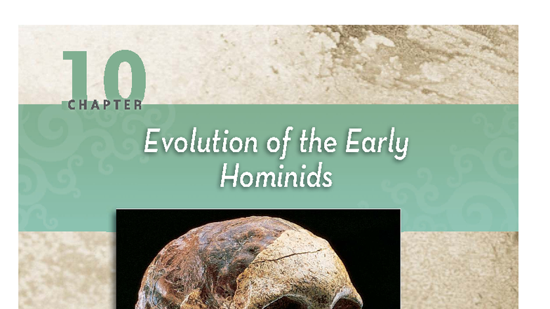 Park CH10: Evolution of Early Hominids and Bipedalism Insights - Studocu