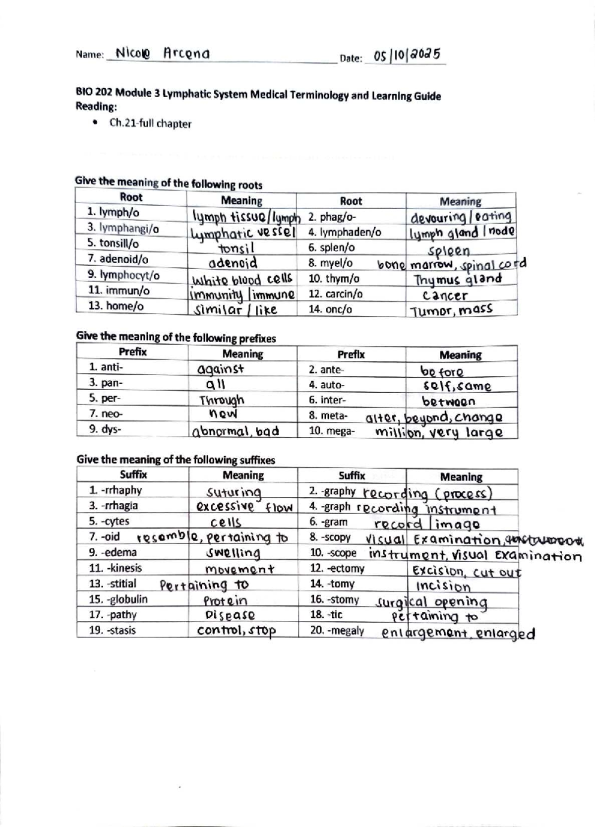 BIO 202 Module 3: Lymphatic System Medical Terminology Study Guide ...