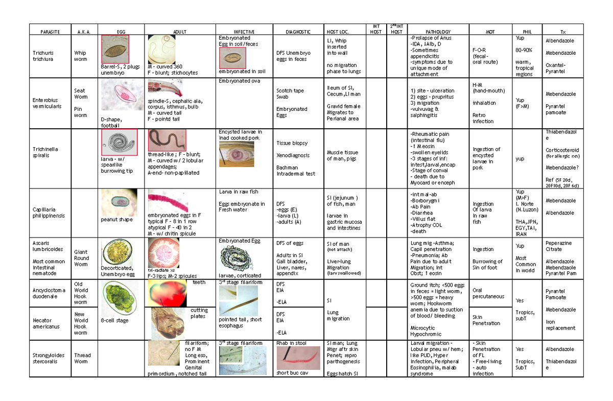 Parasitology Table Review: Diagnostic and Infective Stages of Parasites ...