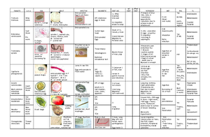 Trematodes Parasitology Table: Morphology & Hosts of Key Species - Studocu