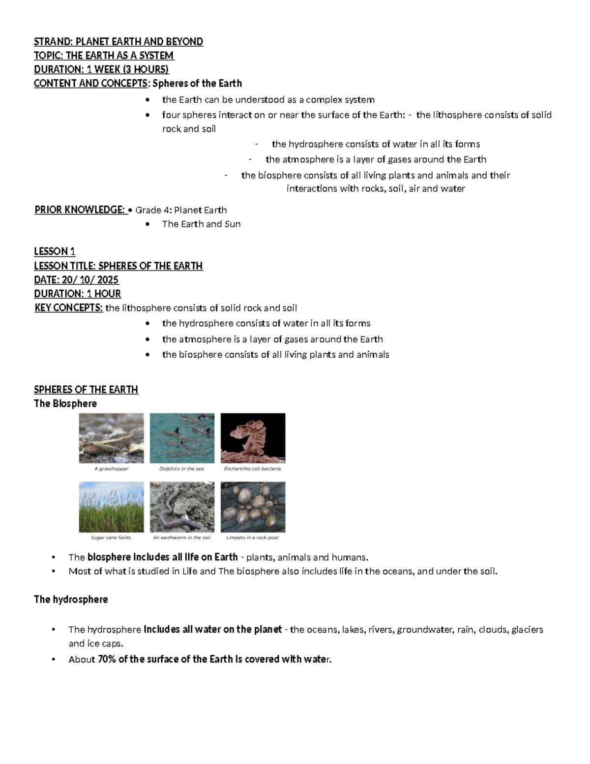 GR 9 NS TERM 4 WEEK 1 - Earth as a System Lesson Prep - Studocu