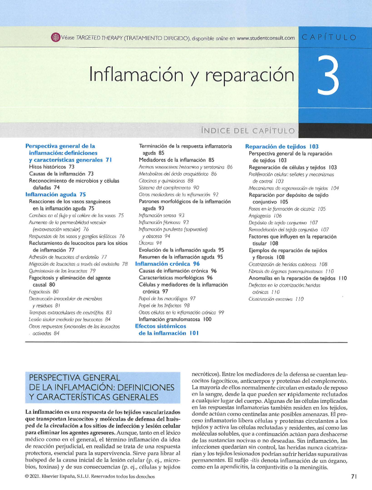 Capítulo 3: Inflamación y Reparación - Perspectivas y Mecanismos ...