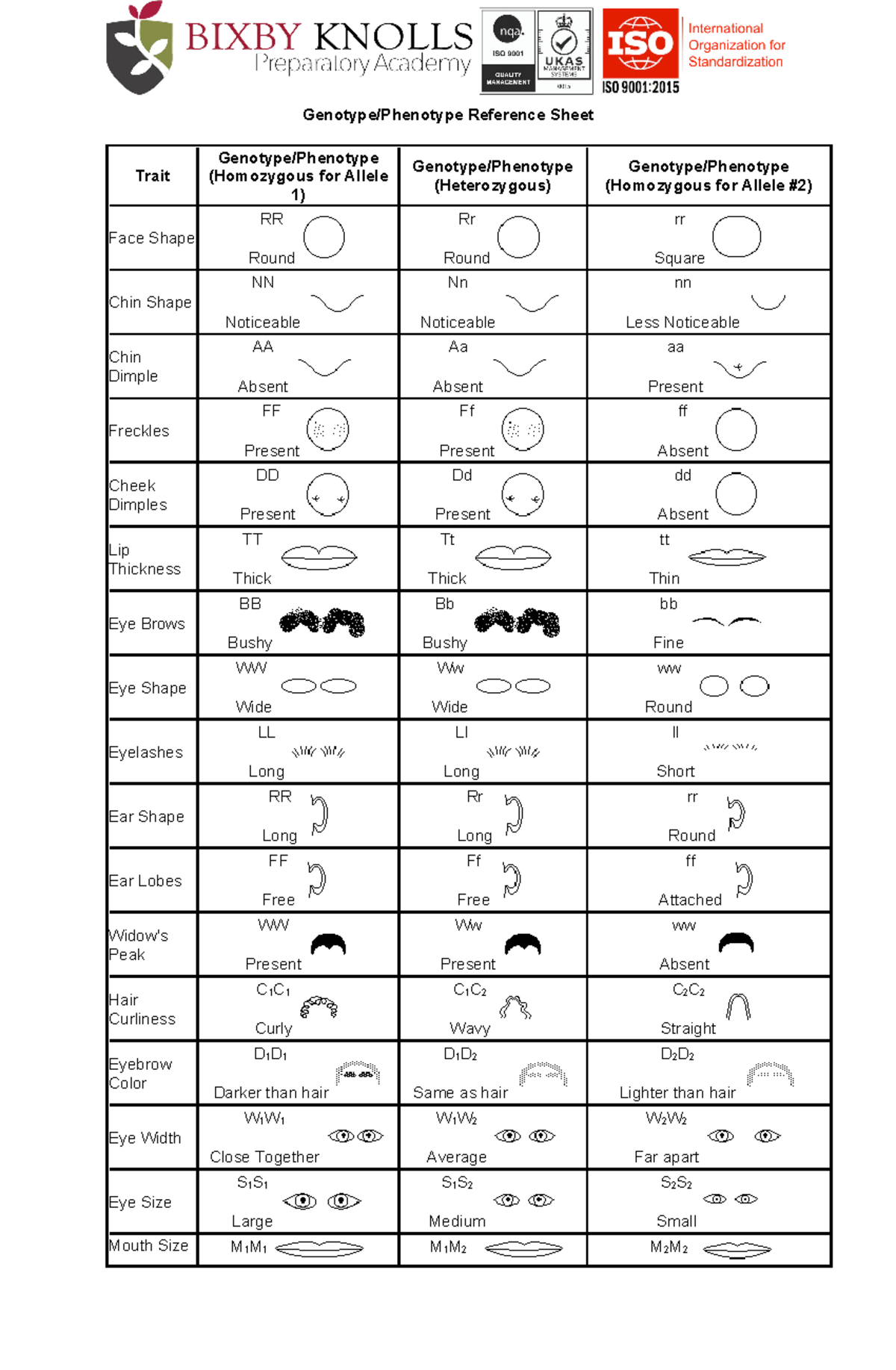 SCI9-Q1-W-PT-Genotype/Phenotype Reference for Baby Traits - Studocu