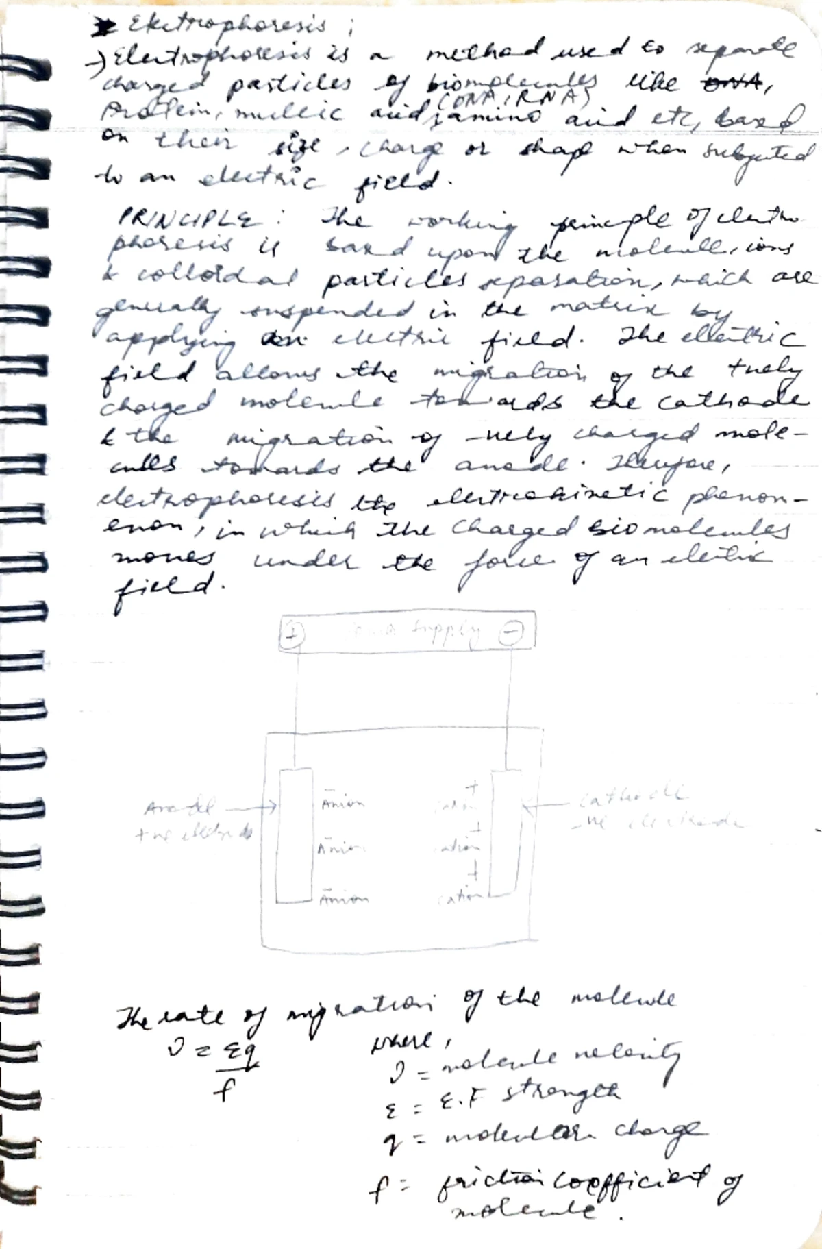 Iodine Fuming Method for Latent Fingerprint Development Techniques ...