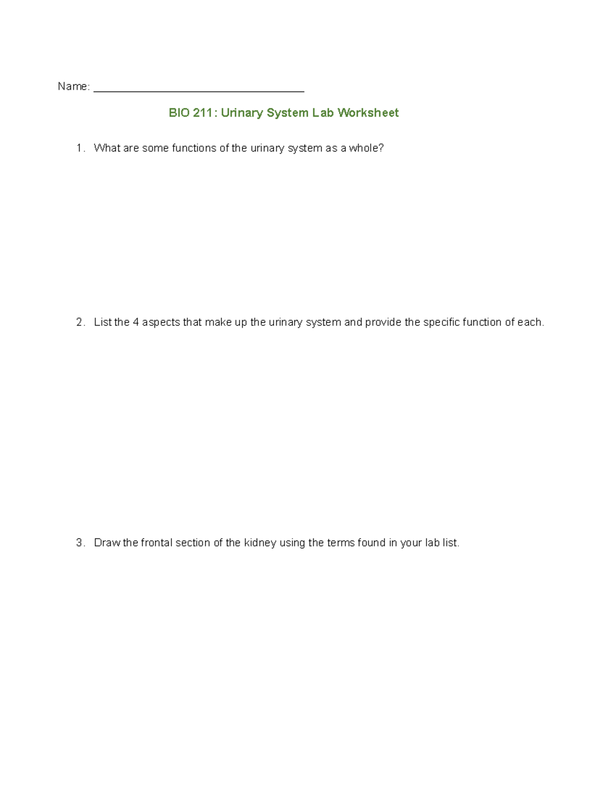 Urinary System Lab Activity - Name ...