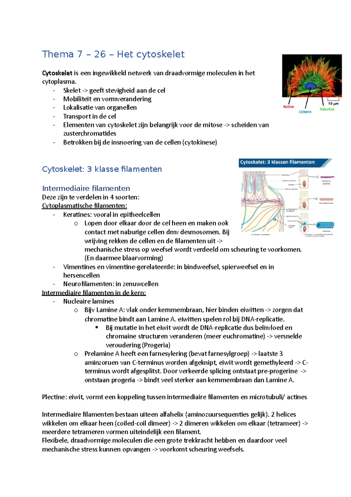 CM Thema 7: Het Cytoskelet en Extracellulaire Matrix Functies - Studeersnel