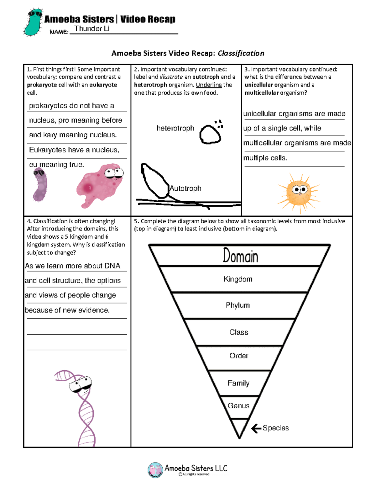 Amoeba Sisters Video Recap: Classification and Taxonomy Overview - Studocu