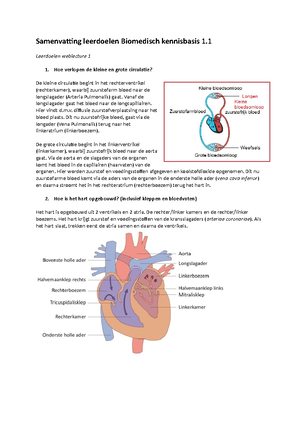 Bouw van het hart - samenvatting hoofdstuk 12. de bouw van het hart ...