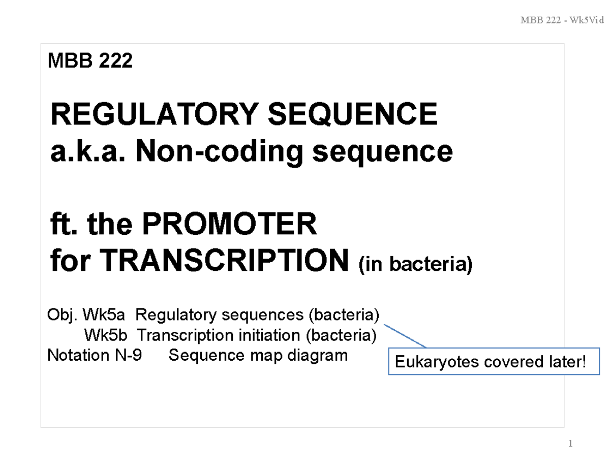 MBB 222 - Week 5 Notes: Regulatory Sequences & Transcription in ...