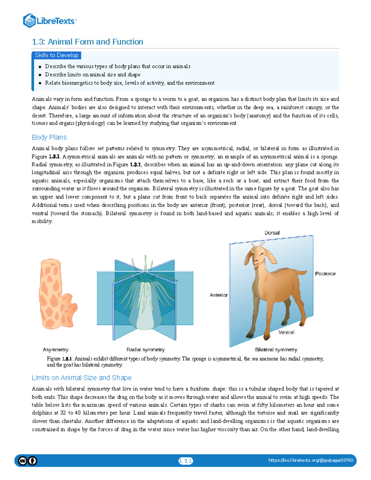 1.3: Animal Form and Function - Body Plans, Size Limits, and Energy ...