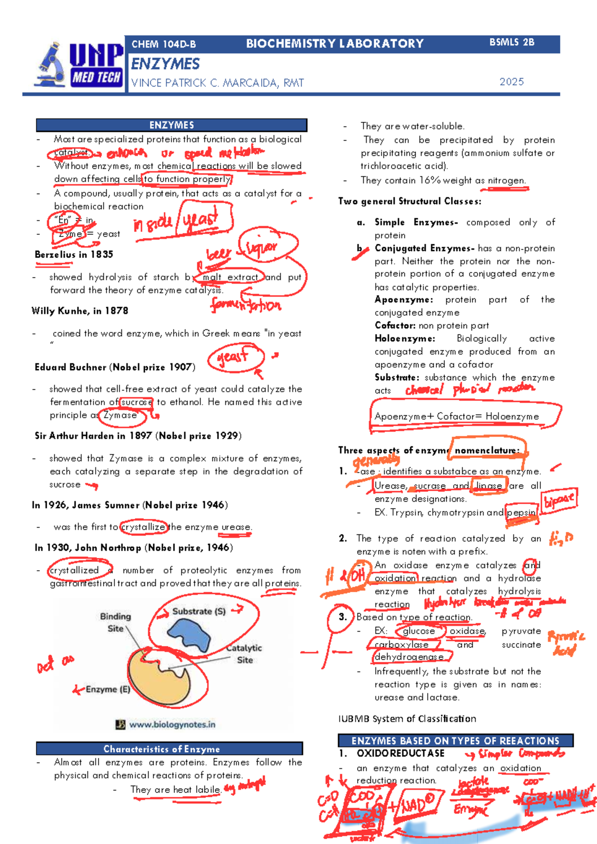 CHEM BSMLS 2B Final Exam Notes on Enzymes by Vince Patrick C. Marcaida ...
