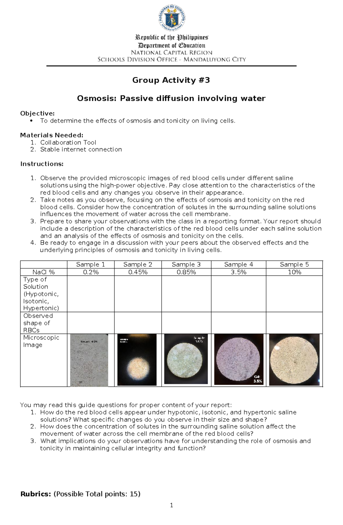 Group #3 Osmosis - Group Activity Osmosis: Passive diffusion involving ...