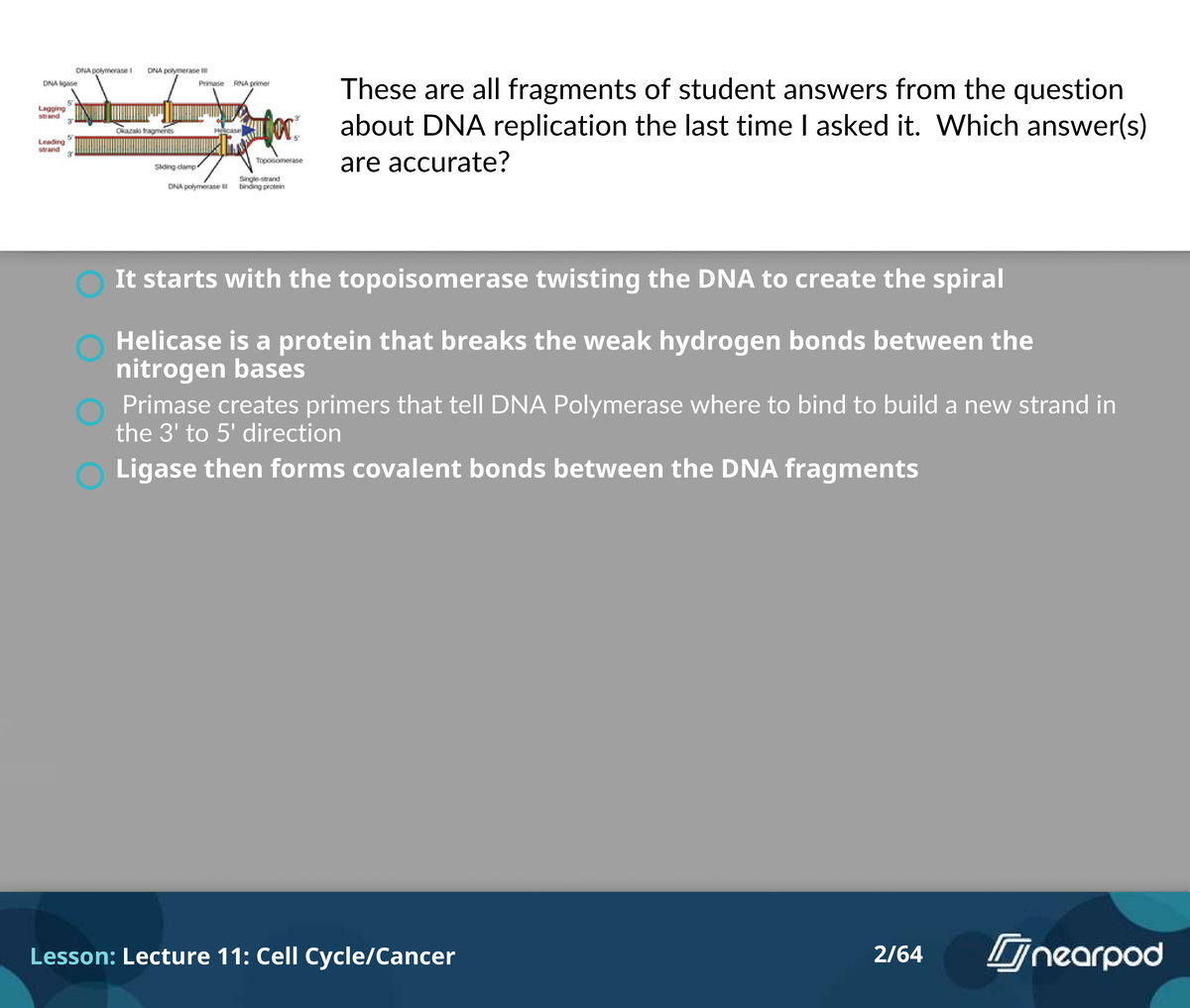 Lecture 11: Cell Cycle & DNA Replication Overview - Studocu