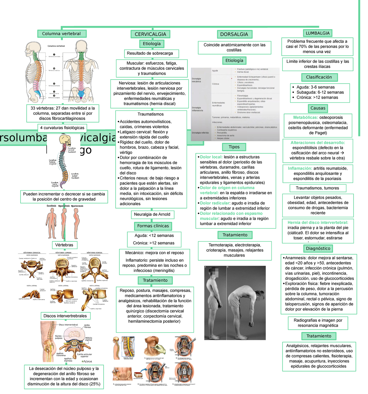 Cervicalgia, Dorsalgia y Lumbalgia: Análisis y Tratamiento Clínico ...