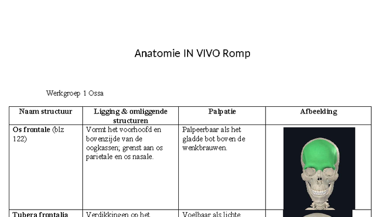 Anatomie IN VIVO Romp - Werkgroep 1: Structuren en Palpatie - Studeersnel