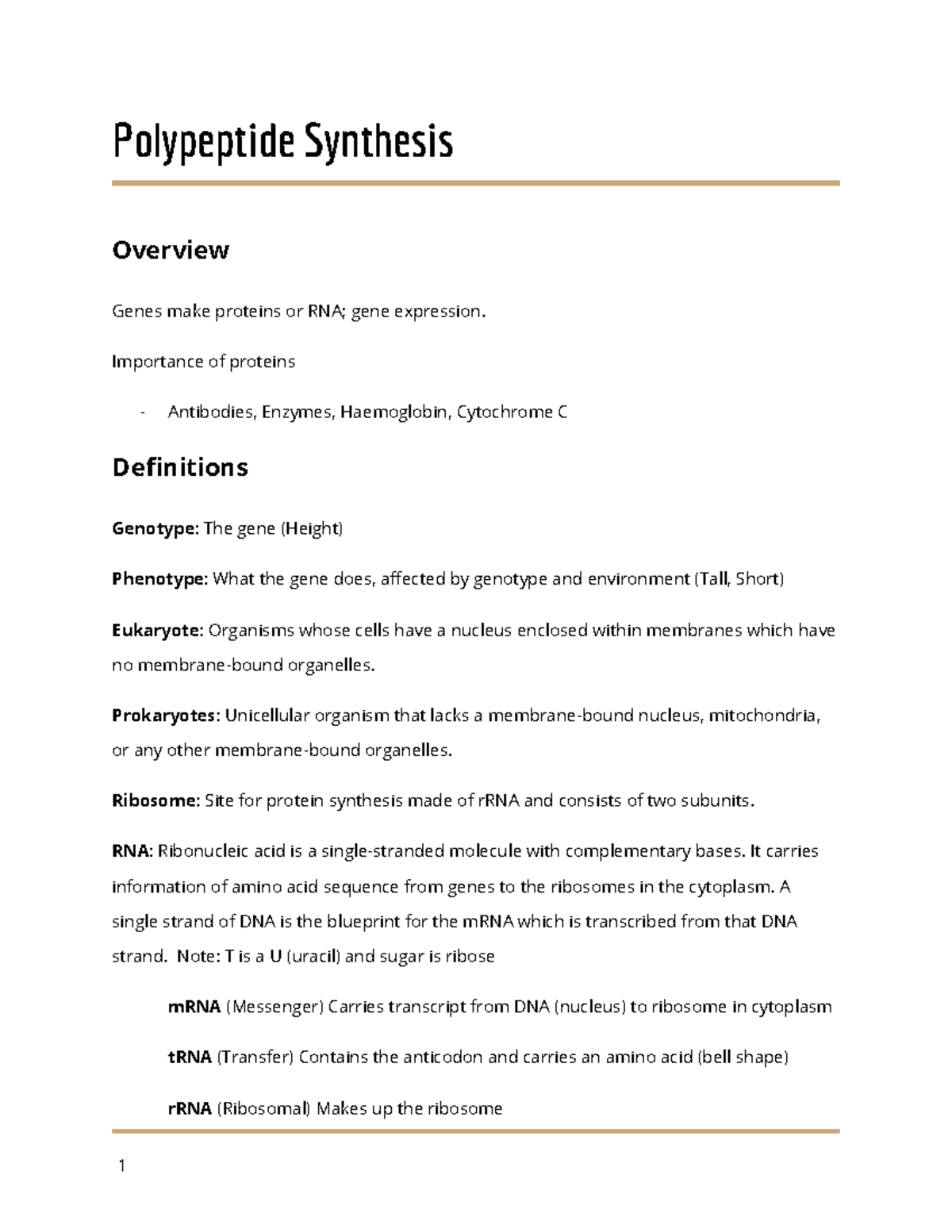 Bio 101: Polypeptide Synthesis Overview and Key Concepts - Studocu