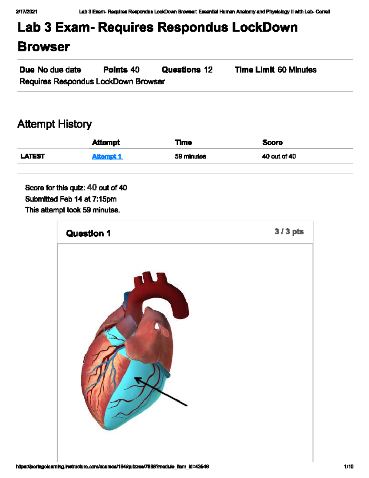 Anatomy 2 Lab 3 - Comprehensive Lab Report Guide - Studocu