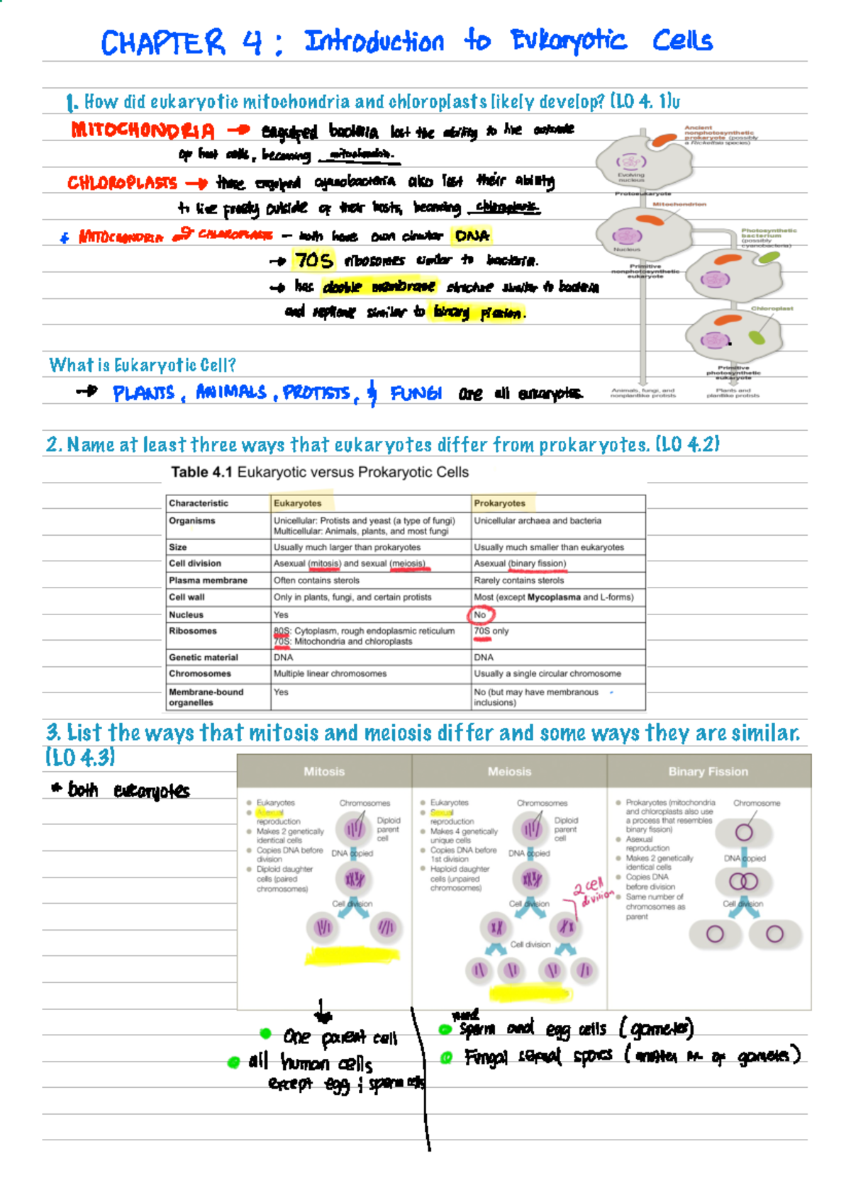 Chapter 4: Eukaryotic Cells Overview and Key Concepts (BIO 101) - Studocu