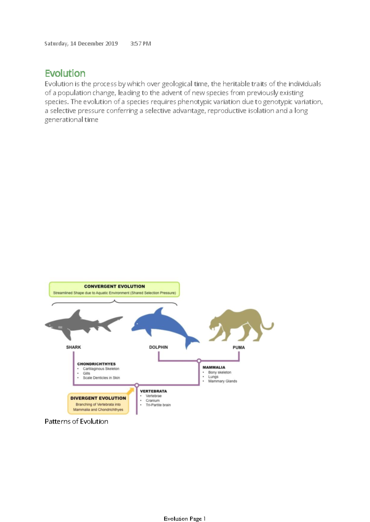 Patterns OF Biological Change (2019 12 31 05 17 23 UTC) updated backup ...