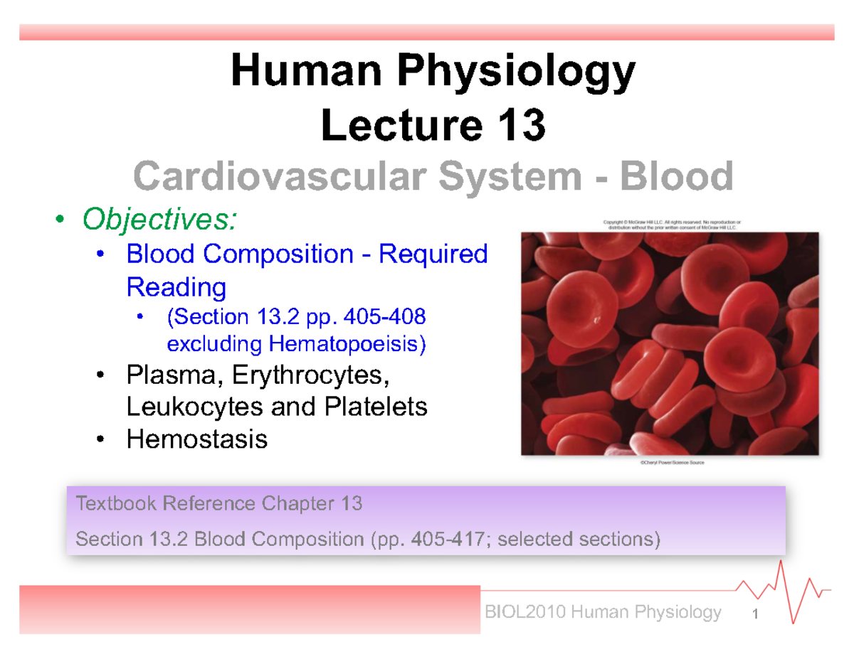 Human Physiology Lecture 13: Cardiovascular System & Blood (BIOL2010 ...