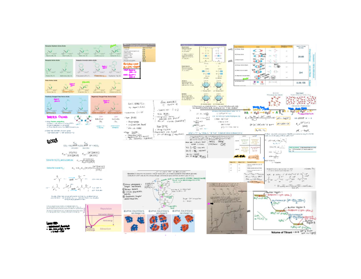 HC 101: Nonpolar Amino Acids and Buffer Preparation Cheat Sheet - Studocu