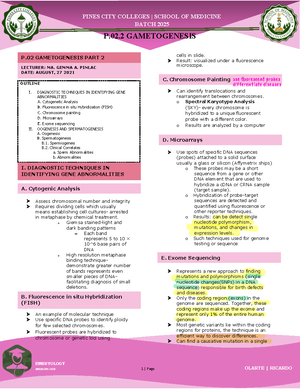 Oral-Anatomy-1st Grading - DENTAL ANATOMY Relationship of teeth to each ...