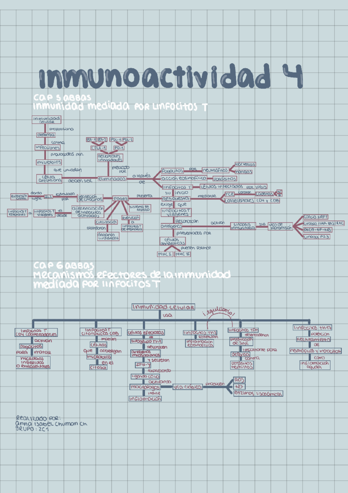 Mapa Mental Capítulos 5 y 6 - Inmunología Básica de ABBAS - Studocu