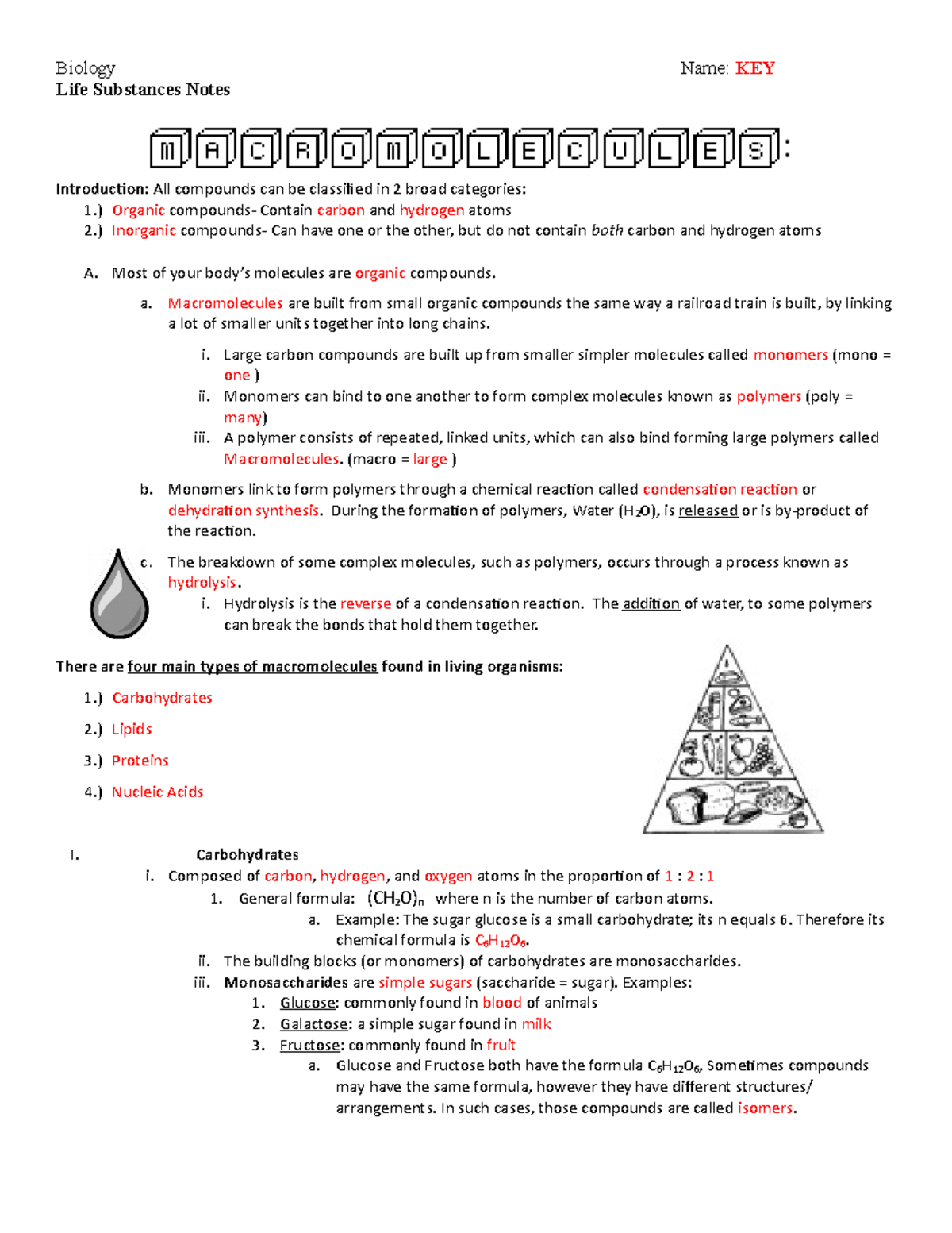 Building Macromolecules Answer Key - Biology Name: KEY Life Substances ...