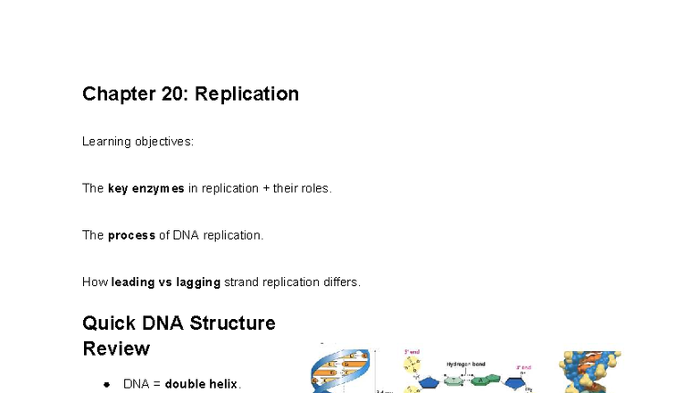 Chapter 20: DNA Replication Enzymes and Processes (Week 7 - L1) - Studocu