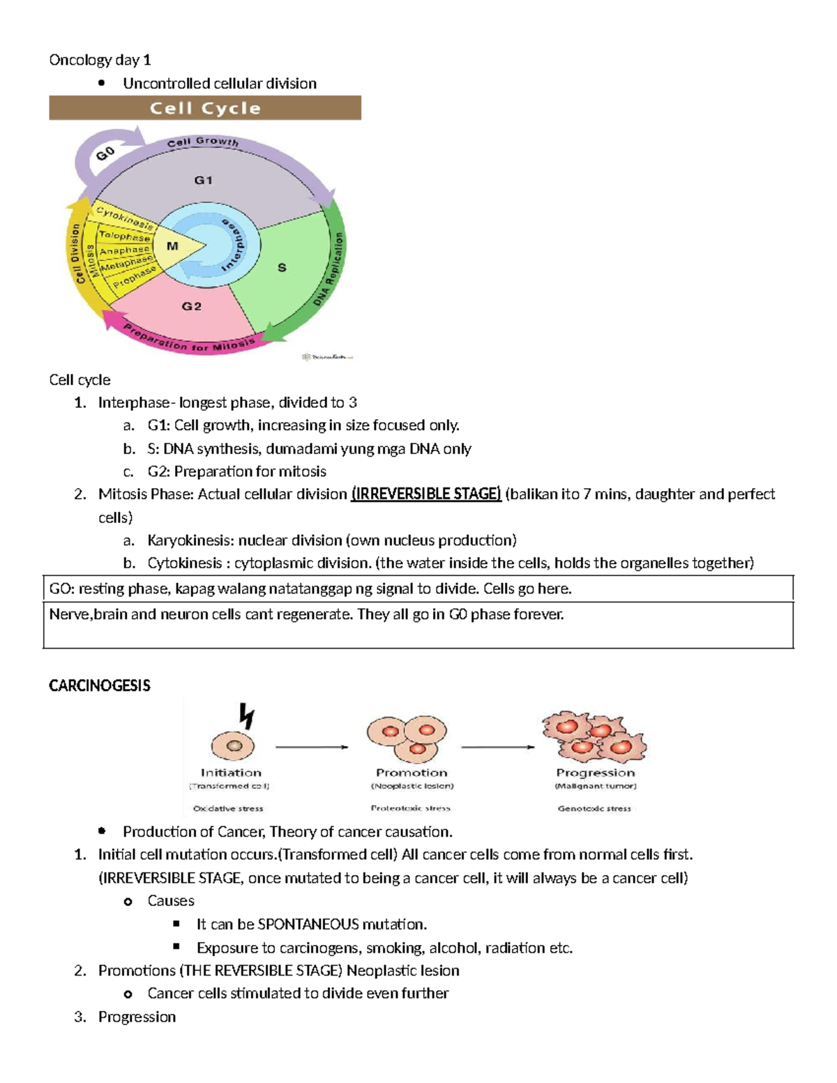 ONCO 101: Day 1 Cancer Lecture Notes on Cell Cycle & Carcinogenesis ...