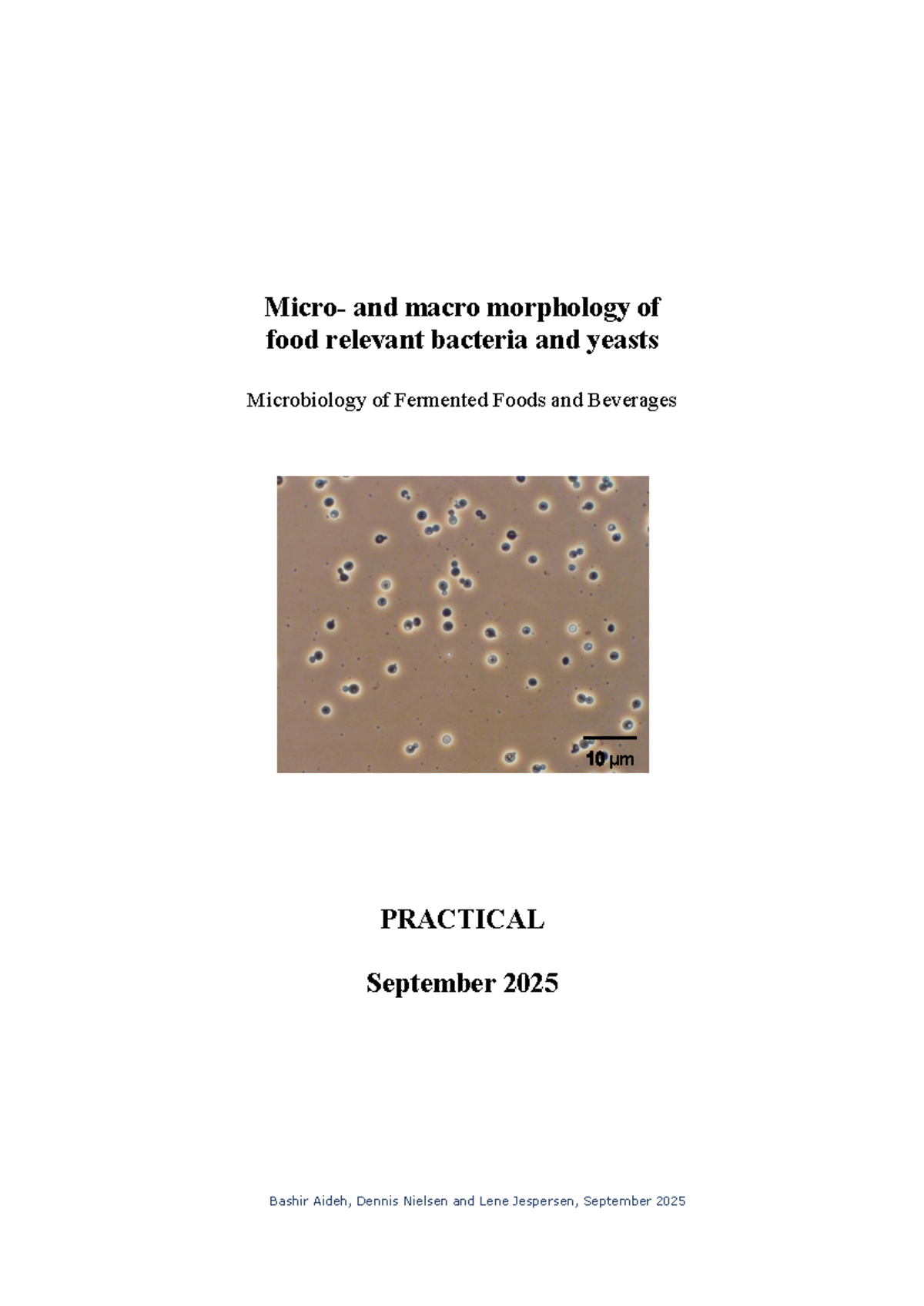 Microbiology of Fermented Foods and Beverages µm PRACTICAL Guide 2025 ...