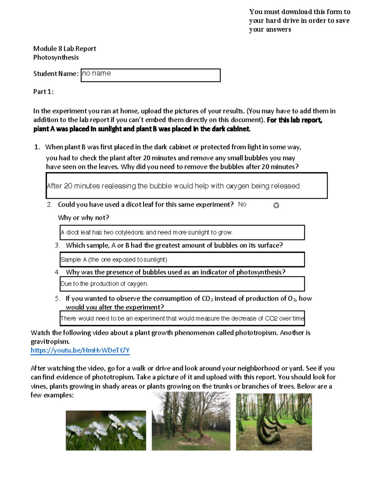 Module 8 Lab Report: Exploring Photosynthesis and Light Effects - Studocu