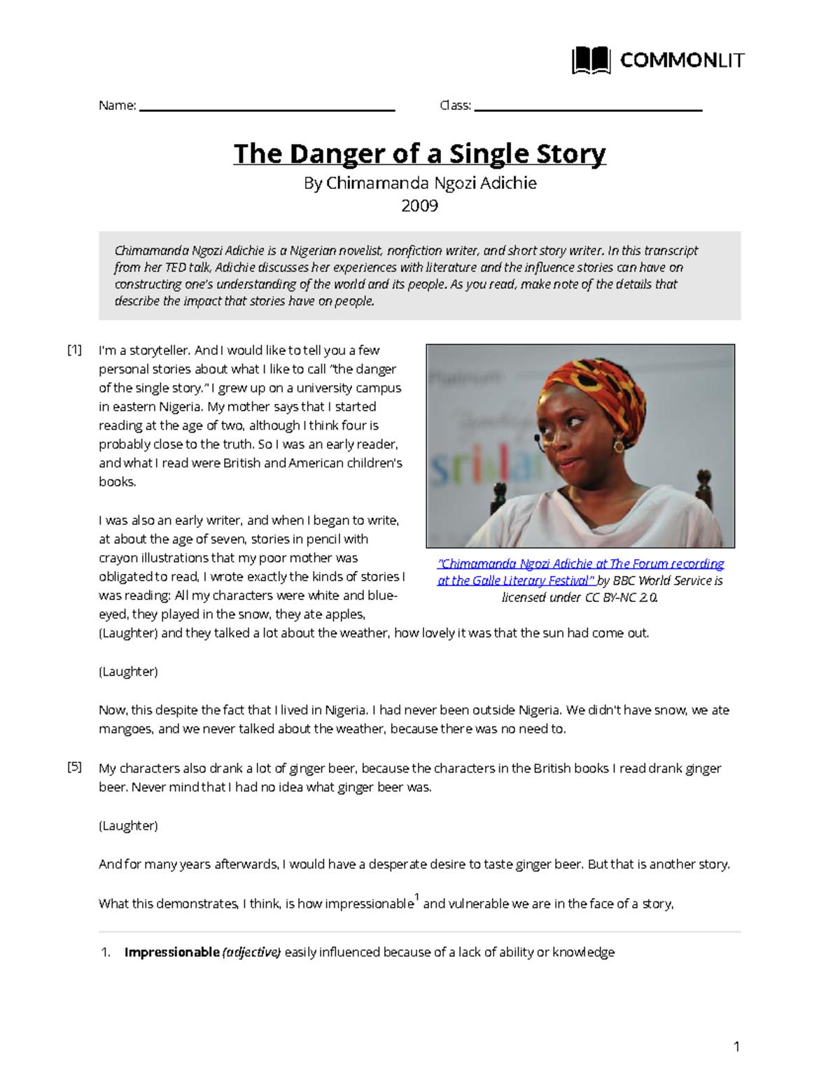 The Danger of a Single Story: Insights from Chimamanda Ngozi Adichie ...