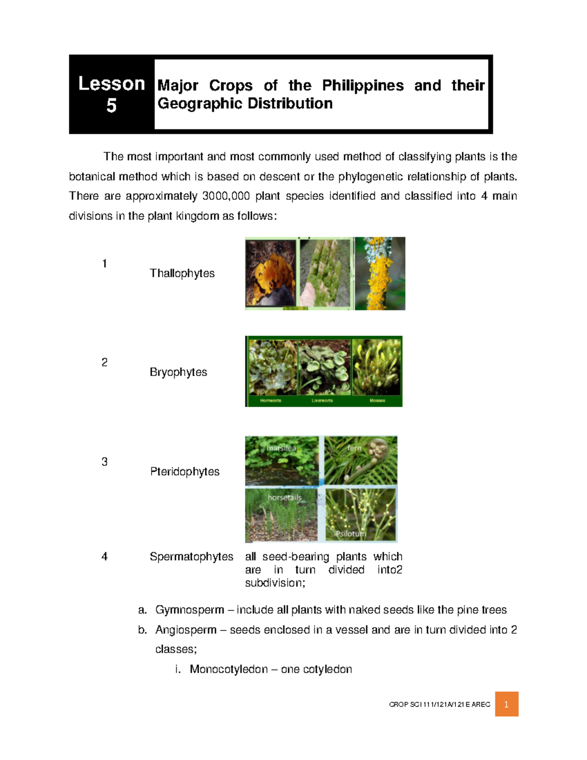 Major Crops in the Philippines: Geography & Classification Overview ...