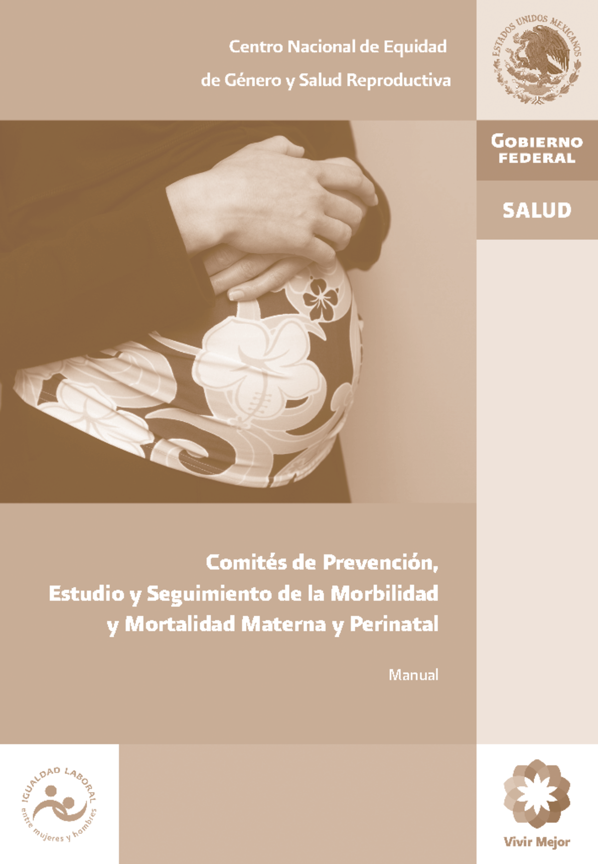 Comités de Prevención y Seguimiento de Mortalidad Materna y Perinatal ...