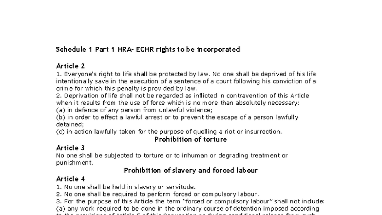 ECHR & 1st Protocol Rights Overview: Key Articles Explained - Studocu