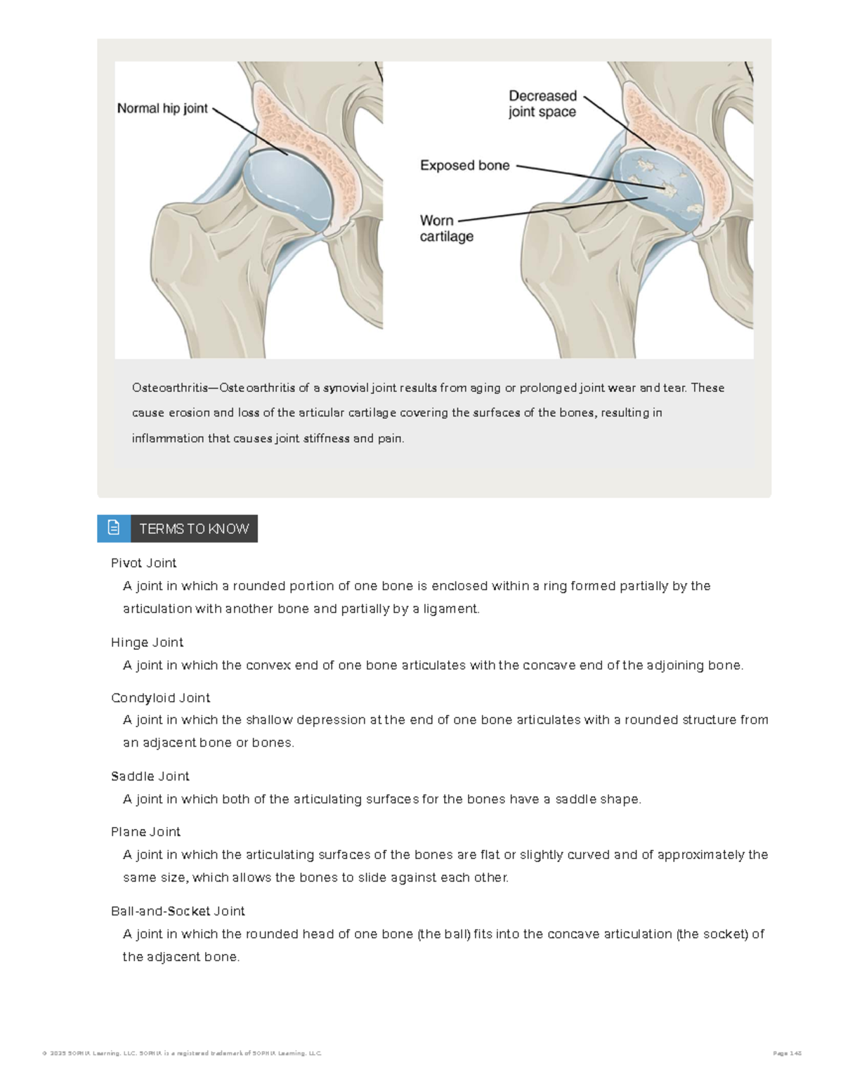 Understanding Synovial Joints: Types, Movements, and Functions (BIOL 101) - Studocu