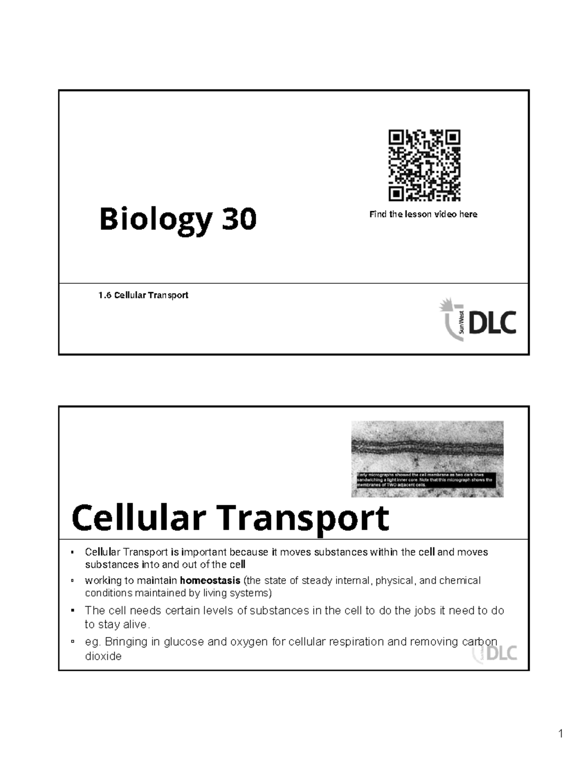 Biology 30: Lesson 6 - Overview of Cellular Transport Mechanisms - Studocu