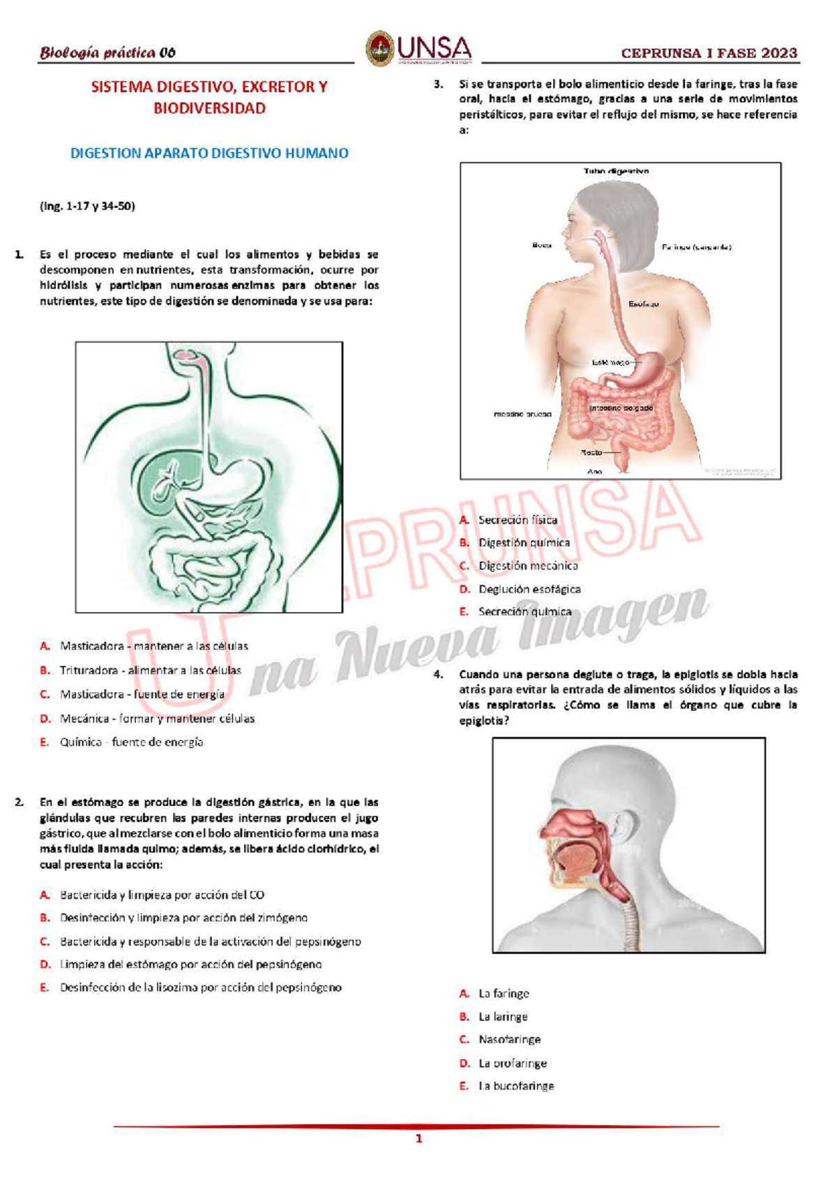 Práctica N° 06 Biología UNSA CEPRUNSA I FASE 2023: Sistemas Digestivo y ...