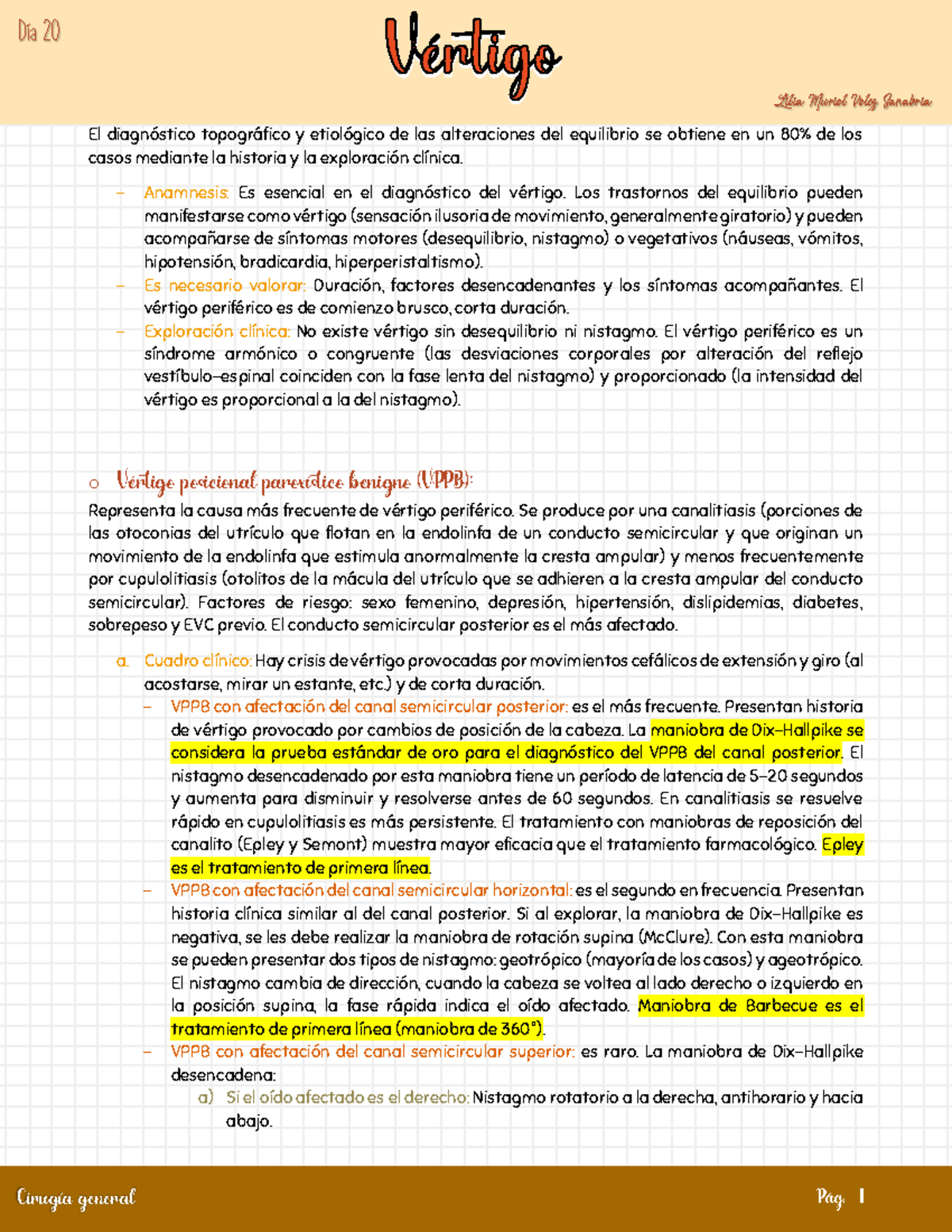 Resumen: Vértigo (VPPB, Síndrome de Ménière) - Resumen ENARM - UJED ...
