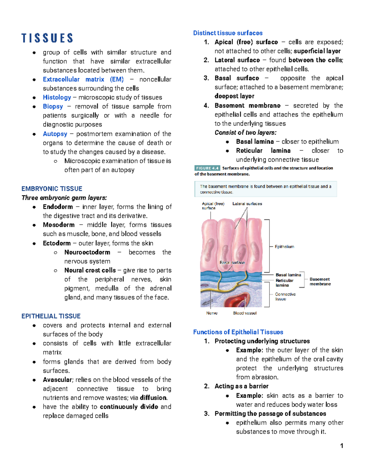 A&P Tissues - Comprehensive Notes on Histology and Tissue Types - Studocu