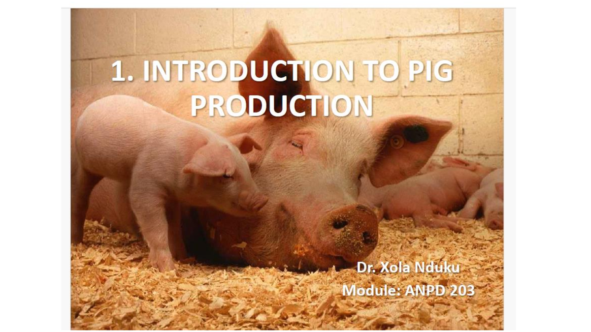 SA Pig Industry Overview: Production, Consumption & Key Challenges ...