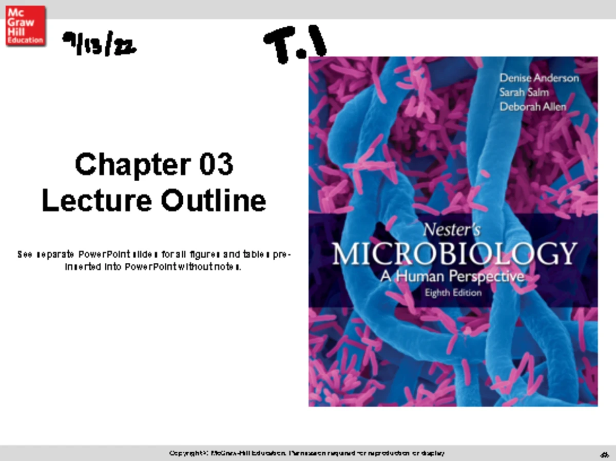 BIO 205 Quiz 1 - Microbial World Study Guide and Key Concepts - Studocu