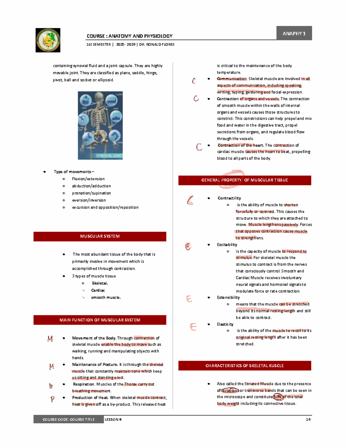 ANAPHY 1 COURSE: ANATOMY AND PHYSIOLOGY 1st SEMESTER 2026 - MUSCULAR ...