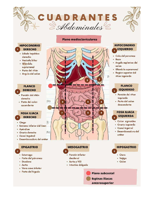El recto - resumen - El recto El recto y el conducto anal constituyen ...