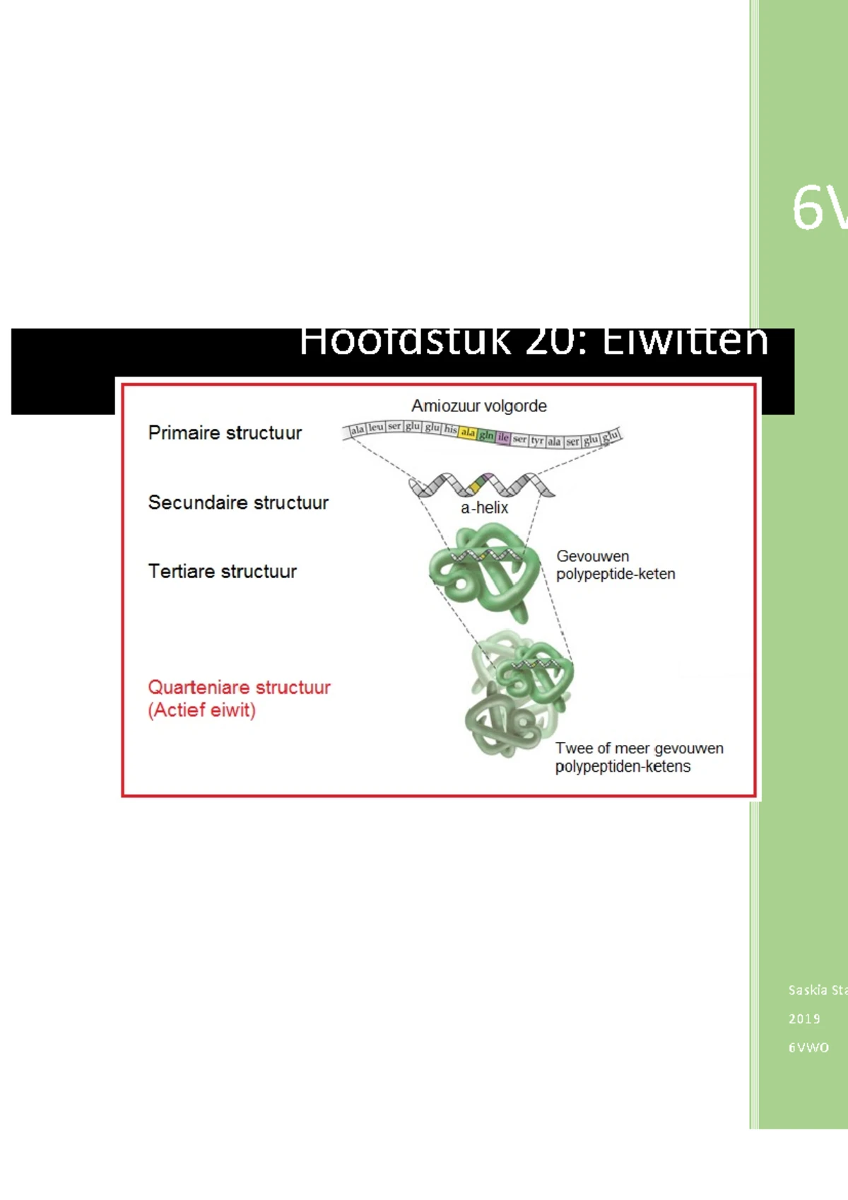 Bio Vertering en Transport: Voedingsstoffen en Hun Functies in het ...
