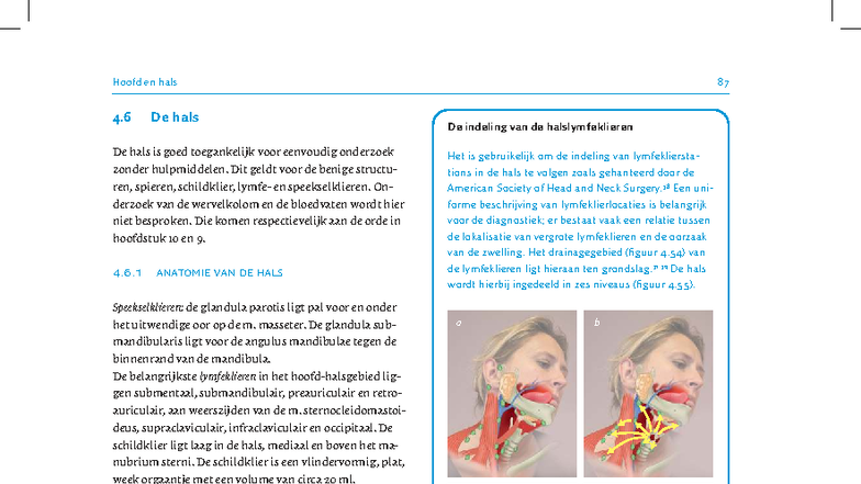 Anatomie van de Hals en Lymfeklieren - Hoofdstuk 4.6 - Studeersnel