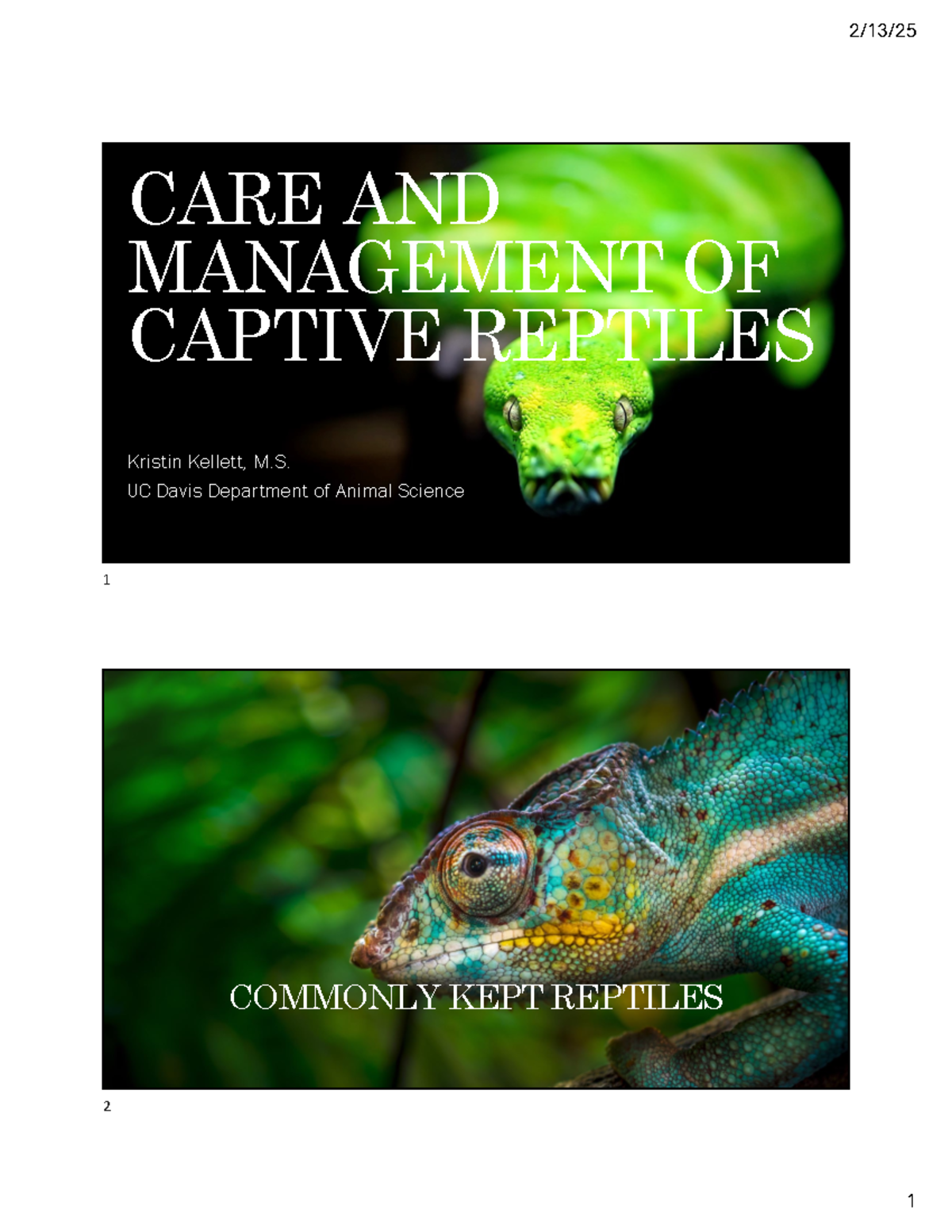 Care and Management of Captive Reptiles (ANSCI 330) - CARE AND ...