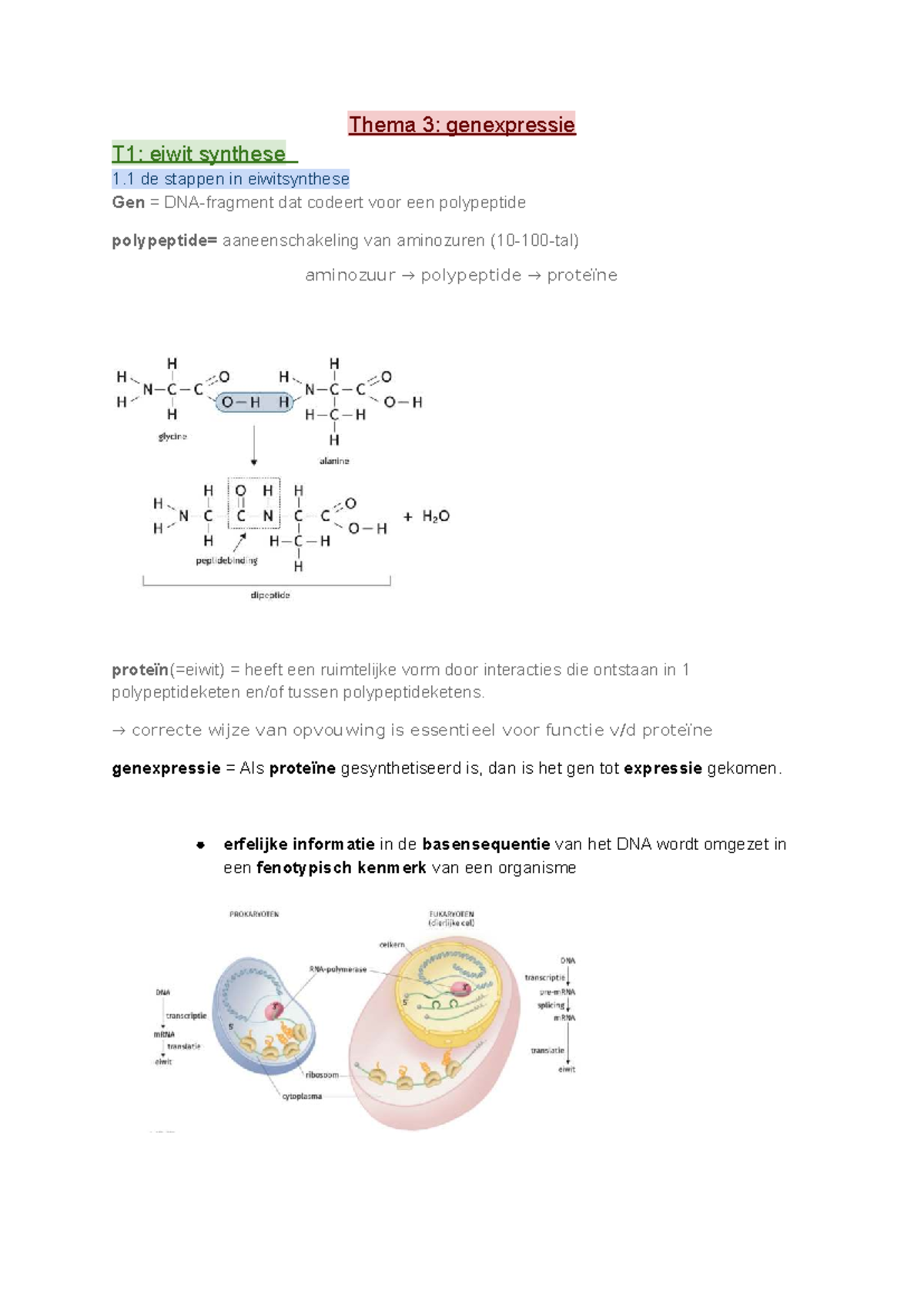Thema 3: Genexpressie en Eiwitsynthese - T1 Samenvatting - Studocu