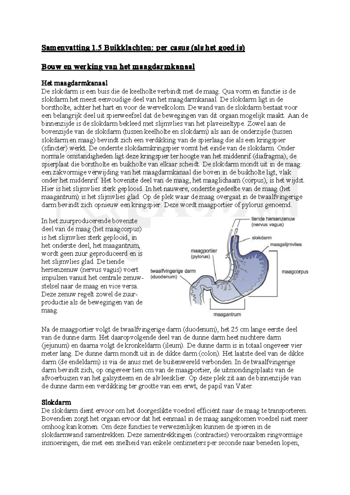 Histologie dikke en dunne darm - Histologie dunne darm De dunne darm is ...